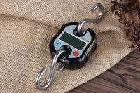 China LCD Display Mini Crane Scale 100kg 150kg Capacity High Precision Load Cell for sale