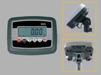China LCD Display Weighing Bench Scale with Plastic Weighing Indicator, Steel Platform Scale for sale