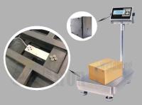 China Carbon Steel Weighing Platform Scale 300x300mm to 500x600mm with Stainless Steel LCD Indicator for sale