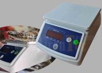 China Dual LED Display Seafood 15kg Electronic Weighing Scale ABS Plastic Moisture Resistant IP55 for sale