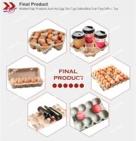 China Hot sale 1000pcs paper pulp moulding egg tray machine paper tray making machine for sale