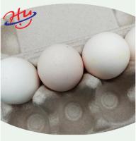 China Factory direct sale 1000pcs/hour full Automation Egg Tray Machine Forming Machine for sale