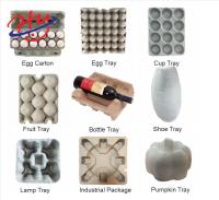 China Egg Tray Egg Plate Thermocol Foam Food Container Production Equipment for sale