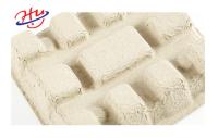 China OEM Pulp Egg Tray / Fruit Tray/ Shoes Tray Molding Equipment for sale for sale