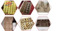 China OEM Pulp Egg Tray / Fruit Tray/ Shoes Tray Molding Equipment for sale for sale
