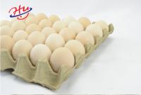 China Automatic Egg Tray fruit tray coffee tray Pulp Tray Molding Equipment price for sale