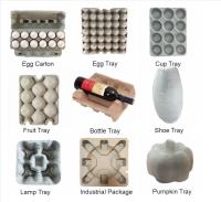 China Automatic Egg Tray fruit tray coffee tray Pulp Tray Molding Equipment price for sale
