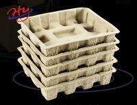 China Electronic Products Paper Egg Tray Equipment with Drying Line for sale