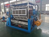 China Waste Paper Molding Machine Egg Tray Making Machine Fruit Tray Production Line for sale