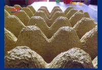 China Automatic Pulped Paper Egg Tray Machine Equipments Production Manufacturers for sale