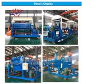 China Waste Paper Pulp Molded Egg Tray Production Line for sale