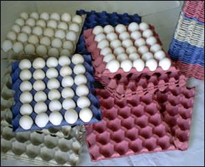China 34KW Paper Egg Tray Making Machine 7000pcs/H For Wine Packs for sale