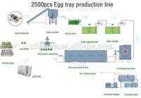 China 34KW Paper Egg Tray Making Machine 7000pcs/H For Wine Packs for sale