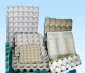 China 34KW Paper Egg Tray Making Machine 7000pcs/H For Wine Packs for sale