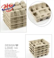China Waste Recycle Paper Egg Tray Making Machine 1500pcs/H for sale