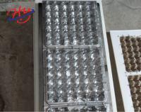 China 3000pcs/H Paper Egg Tray Making Machine With Drying System for sale