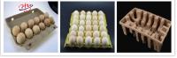 China Paper Pulp Fruit Tray Making Machine Molding Egg Carton Making Machine for sale