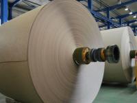 China Hot Waste Corrugated Medium Paper Making Machine Carton Board Recycling Craft Mill for sale