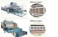 China Rotary Pulp Molding Waste Paper Egg Carton Machine 3000pcs/H for sale