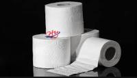 China 1575 Toilet Paper Manufacturing Production Line Tissue Paper Machine 150m/Min for sale