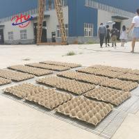 China Molding Dies 1000PCS/H Paper Pulp Egg Tray Machine 34KW for sale