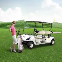 China Leoch LDC Free Maintenance Battery 8v * 6 PCs Golf Buggy for 48V Battery Electric Cart for sale