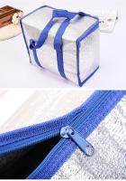 China Customizable Double Aluminium Foil Insulated Cooler Bag 20L for Food Delivery for sale