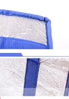 China Customizable Double Aluminium Foil Insulated Cooler Bag 20L for Food Delivery for sale