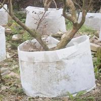China Custom Biodegradable Non Woven Fabric Plant Grow Bag 30x24x50 cm Breathable Tree Bag with Handle for sale