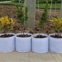 China Custom Biodegradable Non Woven Fabric Plant Grow Bag 30x24x50 cm Breathable Tree Bag with Handle for sale