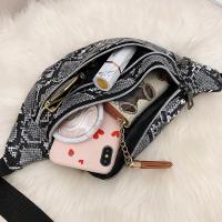 China Serpentine Waist Bag Women Fashion Fanny Pack Nylon 20x10cm Belt Pouch for Phone Card for sale
