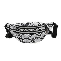 China Serpentine Waist Bag Women Fashion Fanny Pack Nylon 20x10cm Belt Pouch for Phone Card for sale