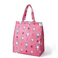 China Custom Portable Insulated Canvas Lunch Bag 24x14x23cm Thermal Food Storage Cooler for sale