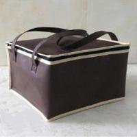 China Custom Non Woven Insulated Reusable Lunch Cooler Bag 20L Thermal Fresh Ice Carrier for sale