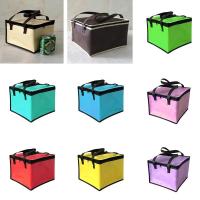 China Custom Non Woven Insulated Reusable Lunch Cooler Bag 20L Thermal Fresh Ice Carrier for sale