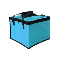 China Custom Non Woven Insulated Reusable Lunch Cooler Bag 20L Thermal Fresh Ice Carrier for sale