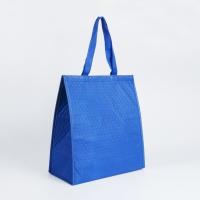 China Customizable PP Non Woven Insulated Cooler Bag 32x14x36cm Reusable Thermal Lunch Tote for Food Delivery for sale
