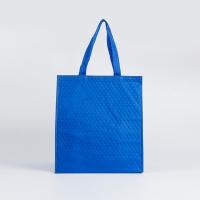 China Customizable PP Non Woven Insulated Cooler Bag 32x14x36cm Reusable Thermal Lunch Tote for Food Delivery for sale