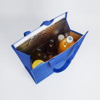 China Customizable PP Non Woven Insulated Cooler Bag 32x14x36cm Reusable Thermal Lunch Tote for Food Delivery for sale