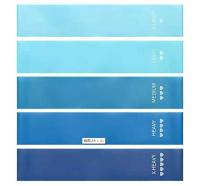 China Natural Latex Resistance Bands Set 5 Pack 600x50mm Exercise Fitness Mini Bands for sale
