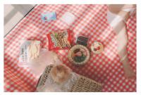 China Travel Outdoor Picnic Mat Waterproof Moistureproof Convenient for sale