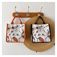 China Custom Printed Canvas Tote Bag 38x42cm Eco Friendly Foldable Shopping Bag with Logo for sale