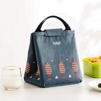 China Custom Oxford Insulated Lunch Cooler Bag 20L Waterproof Thermal Tote for Food Delivery for sale