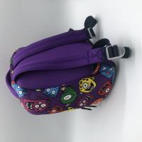 China Diving Material Rainbow Cartoon Schoolbag Anti Lost Waterproof 30L for Children Baby for sale