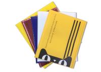 China Large Bubble Padded Plastic Mailing Envelopes Postage Bags A5 Waterproof 1000 Pcs MOQ for sale