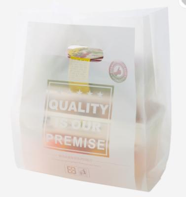 China EVA PE ECO Friendly Reusable Plastic Bag Custom Hopping Bags With Logo for sale