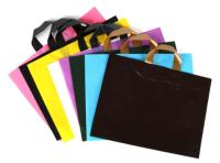 China EVA PE ECO Friendly Reusable Plastic Bag Custom Hopping Bags With Logo for sale