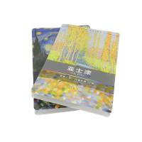 China LDPE Printed Colorful Frosted Stand Up Pouch 8 Side Seal Recyclable Pouch Food Packaging for sale