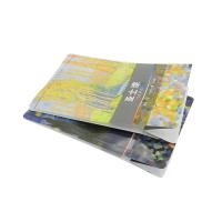 China LDPE Printed Colorful Frosted Stand Up Pouch 8 Side Seal Recyclable Pouch Food Packaging for sale