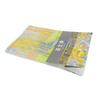 China LDPE Printed Colorful Frosted Stand Up Pouch 8 Side Seal Recyclable Pouch Food Packaging for sale